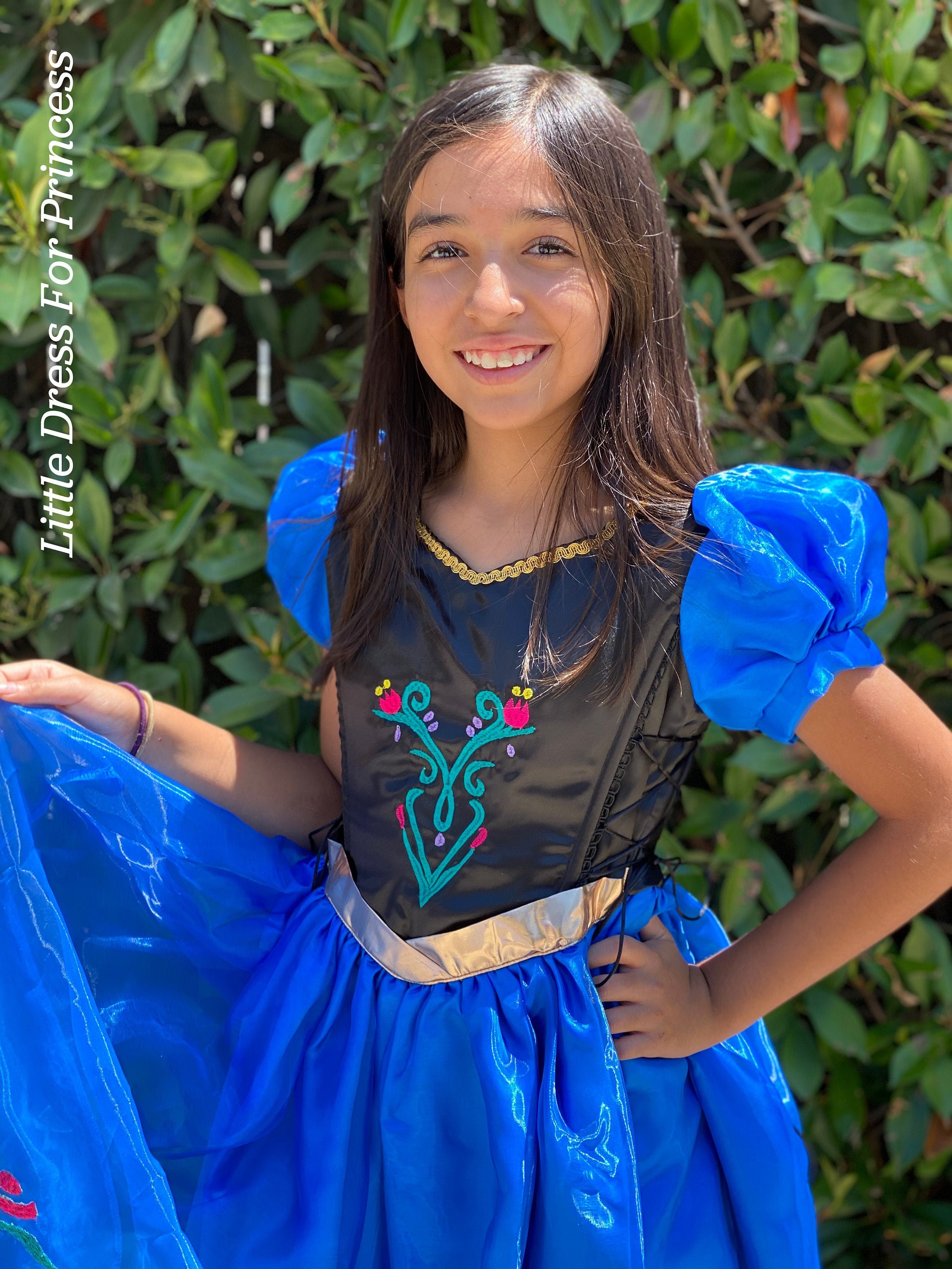 Princess Anna At Ball