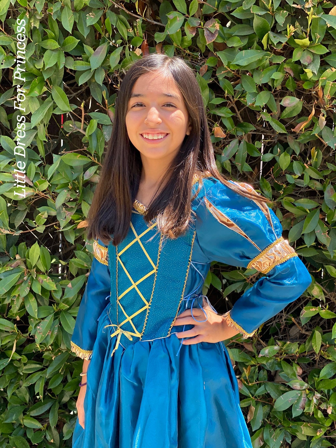 Brave Princess Dress/ Inspired Disney Princess Brave/ball Gown Style ...