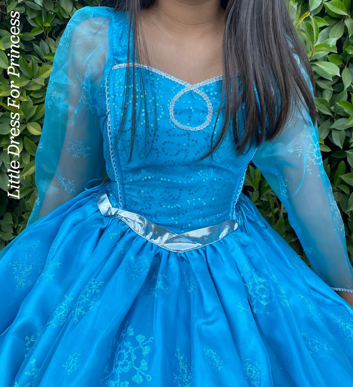 Disney Princess Elsa Inspired Costume/Frozen Dress For | Etsy