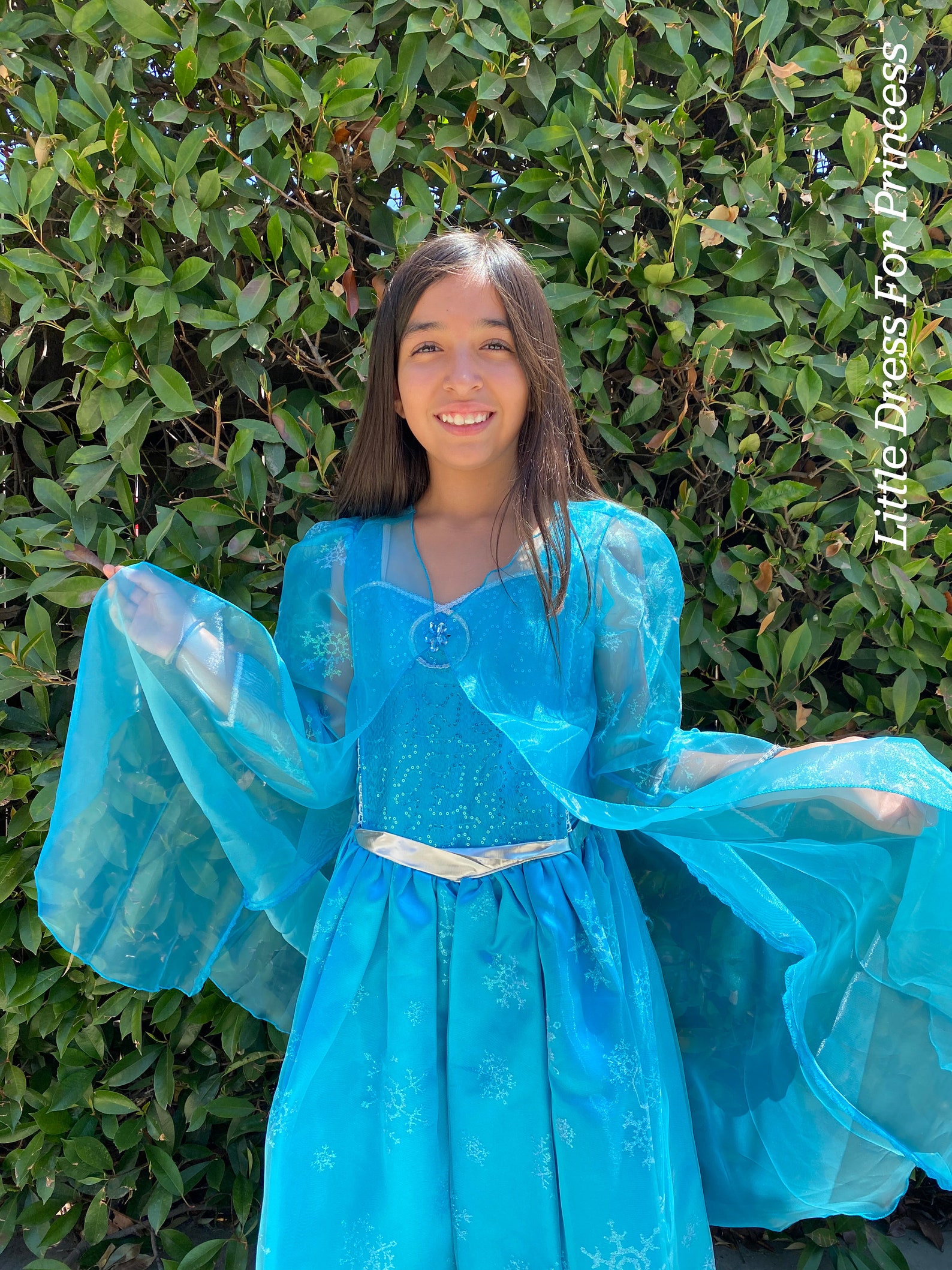 Disney Princess Elsa Inspired Costume/Frozen Dress For | Etsy