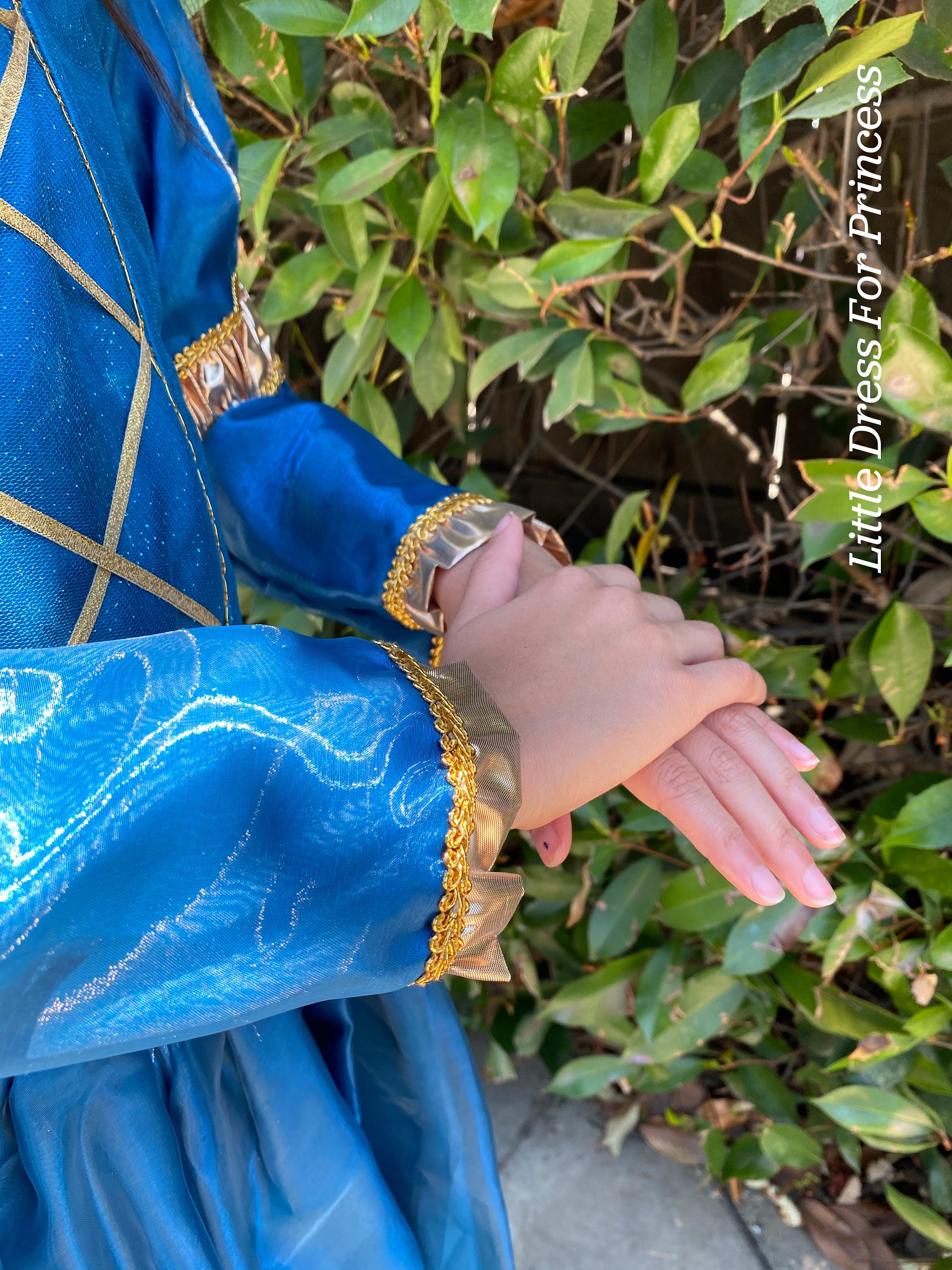 Brave Princess Dress/ Inspired Disney Princess Brave/ball Gown Style ...