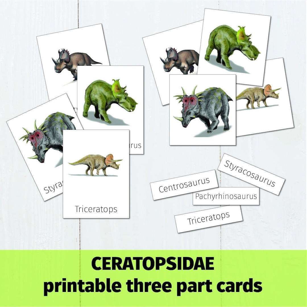 Triceratops Flash Cards, Printable Montessori Materials, Natural ...