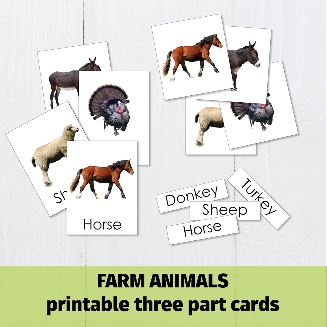 Farm Animals Flash Cards for Toddlers, Montessori Printable, Preschool ...