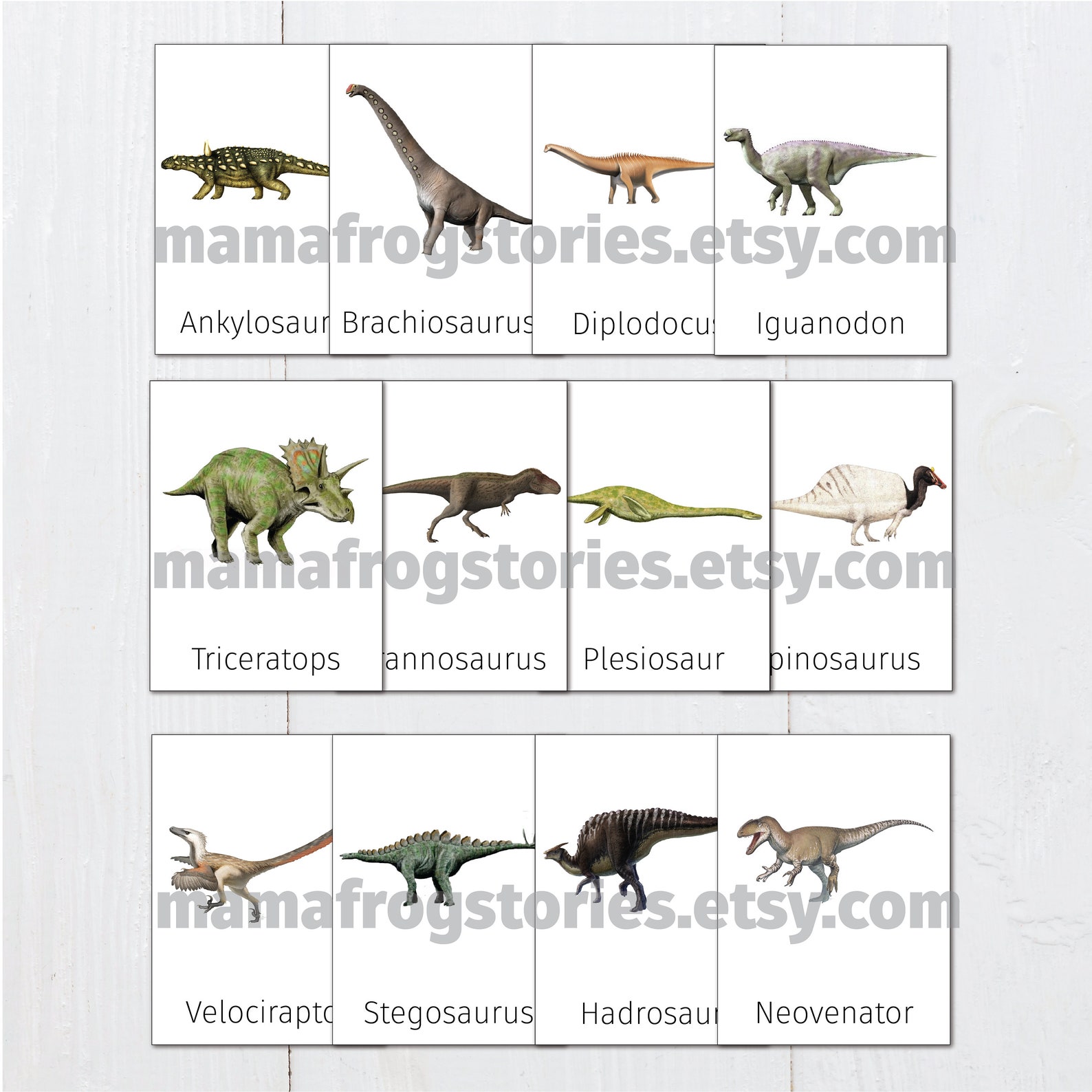Dinosaur Flashcards, Animal Flashcards for Toddlers, Montessori ...