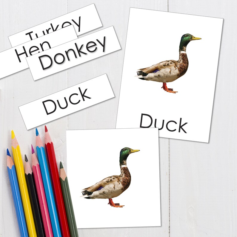 Farm Animals Flash Cards for Toddlers, Montessori Printable, Preschool ...