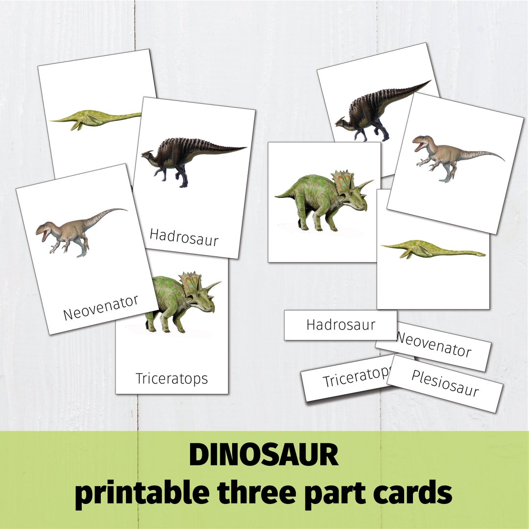 Dinosaur Flashcards, Animal Flashcards for Toddlers, Montessori ...
