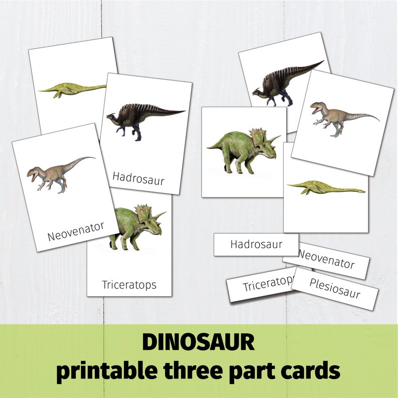 Dinosaur Flashcards Animal Flashcards for Toddlers | Etsy