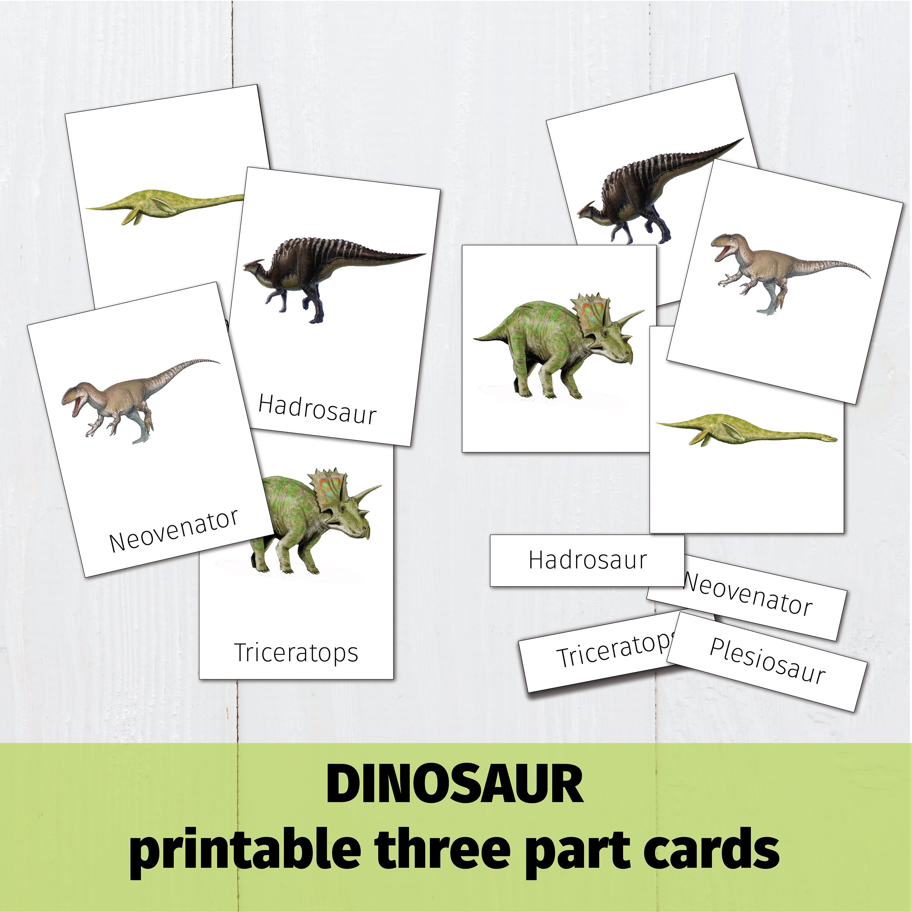 Dinosaur Flashcards, Animal Flashcards for Toddlers, Montessori ...