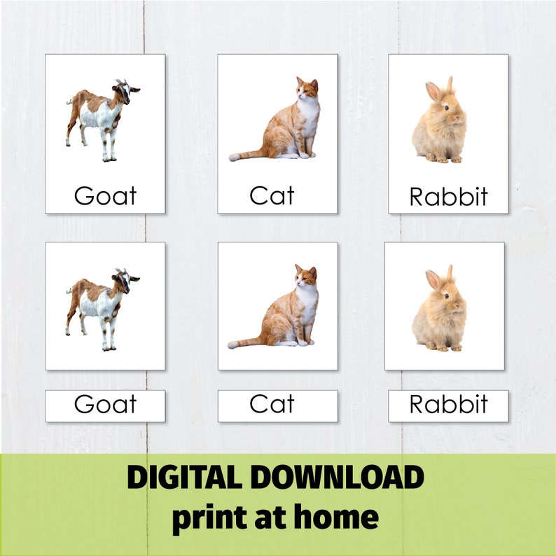 Farm Animals Flash Cards for Toddlers, Montessori Printable, Preschool ...