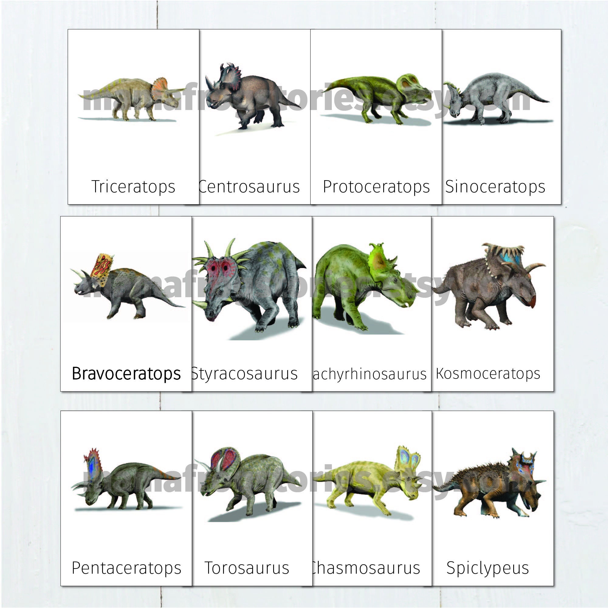 Triceratops Flash Cards, Printable Montessori Materials, Natural ...