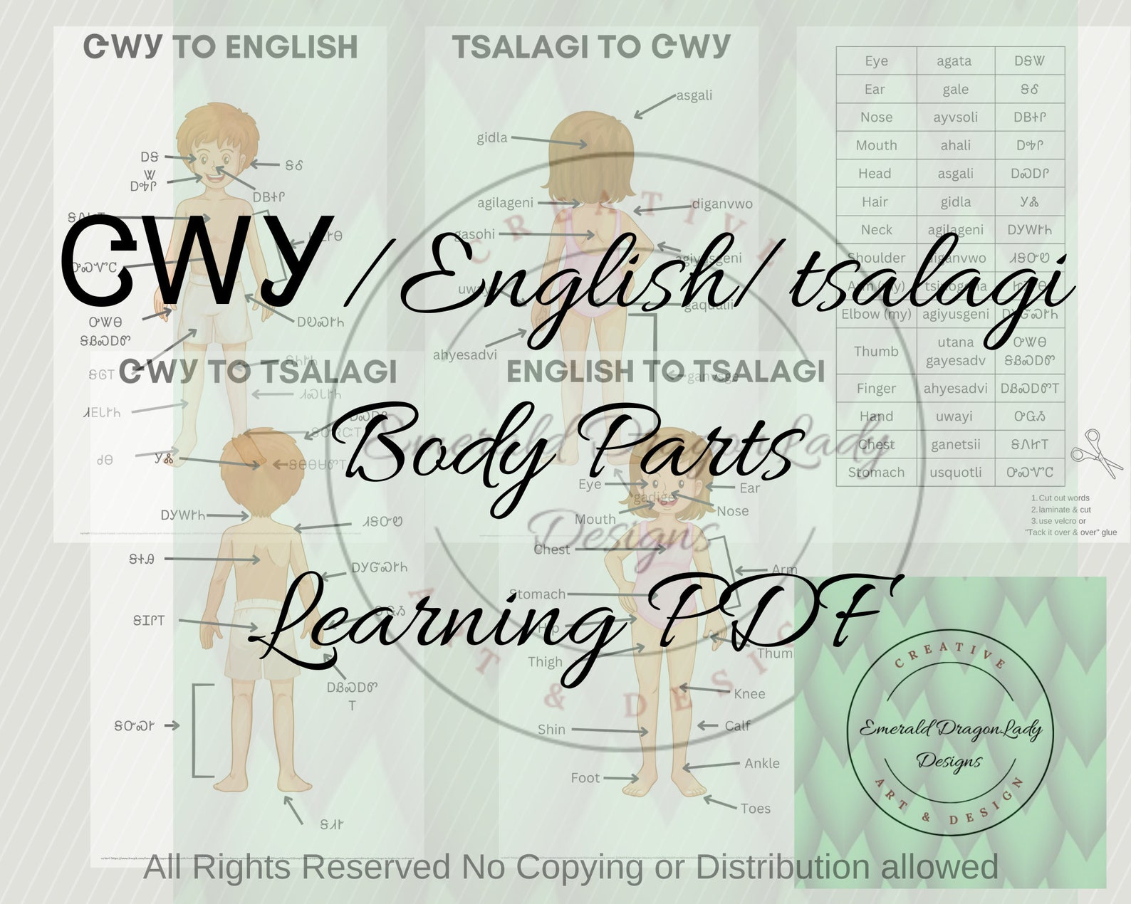Cherokee Language Body Parts Learning Printable PDF - Etsy