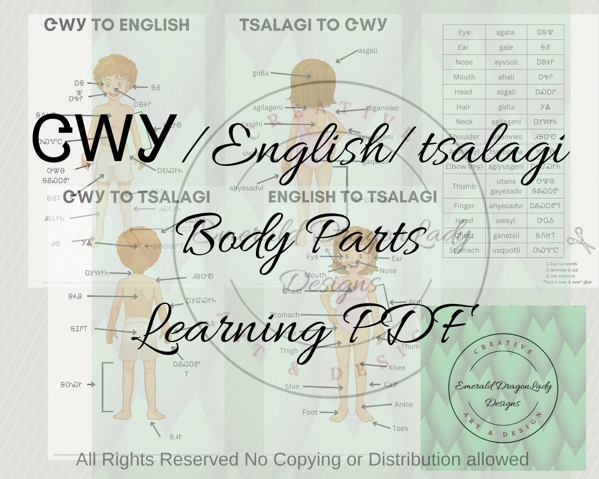 Cherokee Language Body Parts Learning Printable PDF - Etsy