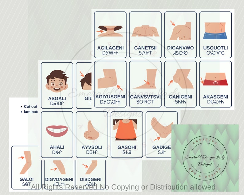 Cherokee Language Body Parts Flashcards Learning Printable PDF - Etsy