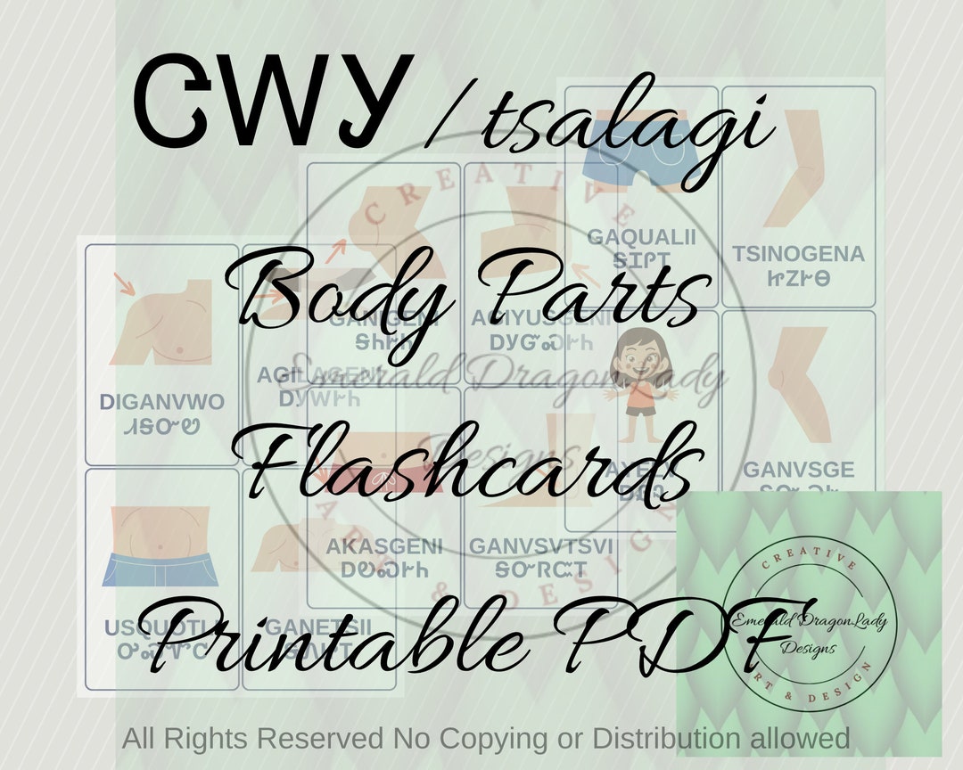 Cherokee Language Body Parts Flashcards Learning Printable PDF - Etsy