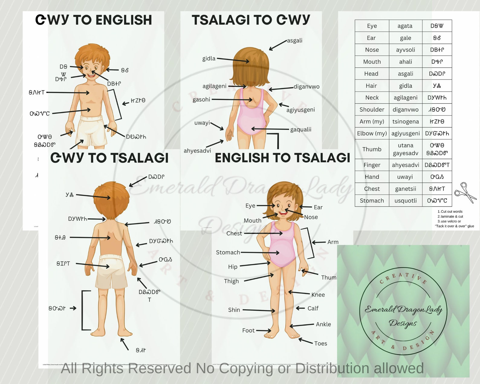Cherokee Language Body Parts Learning Printable PDF - Etsy