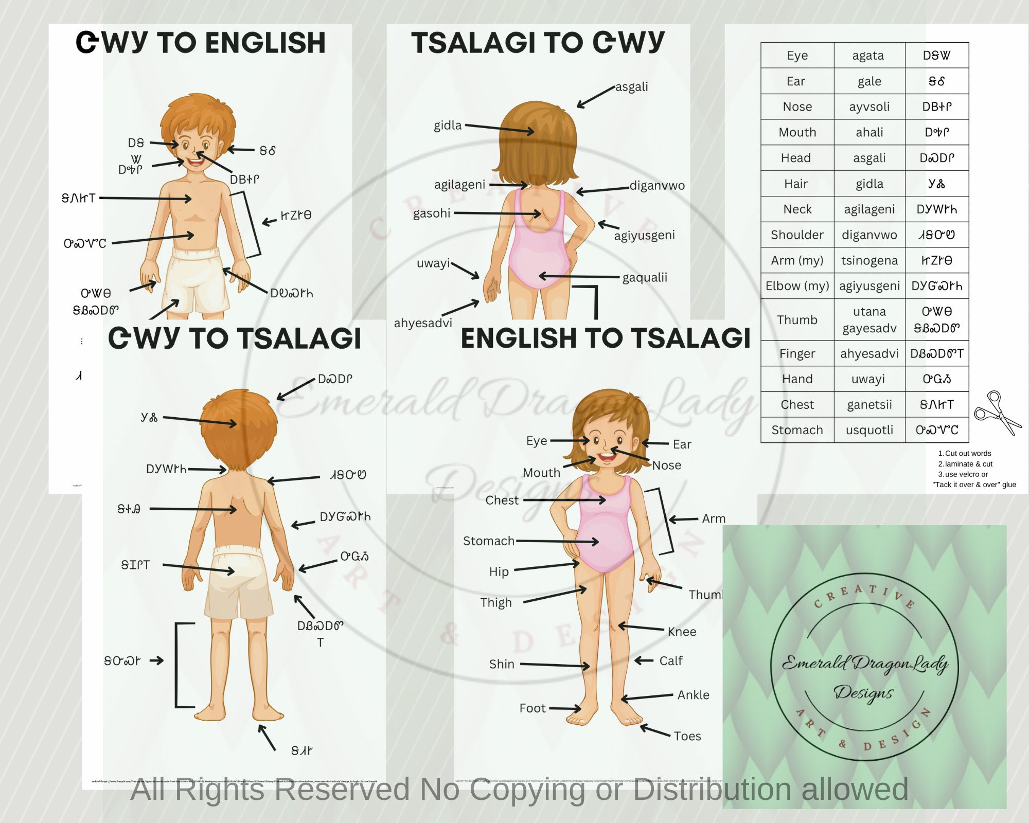 Cherokee Language Body Parts Learning Printable PDF - Etsy
