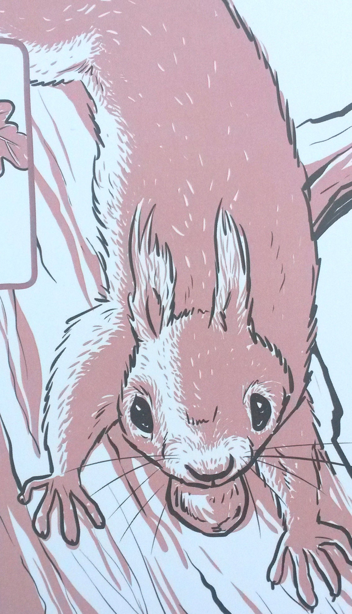 Squirrel A4 print of a page from the mini-comic 'Big | Etsy