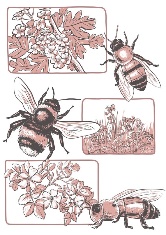 Bees A4 Print of a Page From the Mini-comic 'big | Etsy