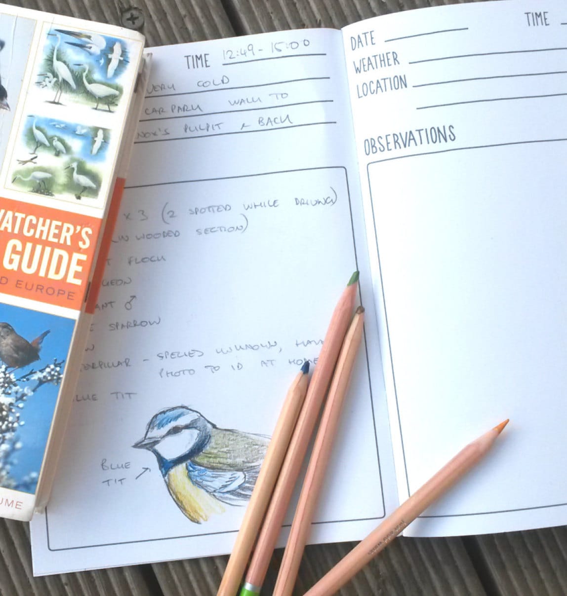 Nature Notes Wildlife Journal - Etsy UK