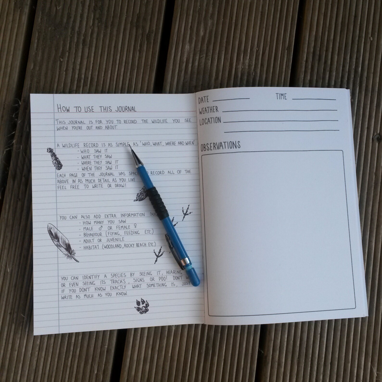 Nature Notes Wildlife Journal - Etsy UK