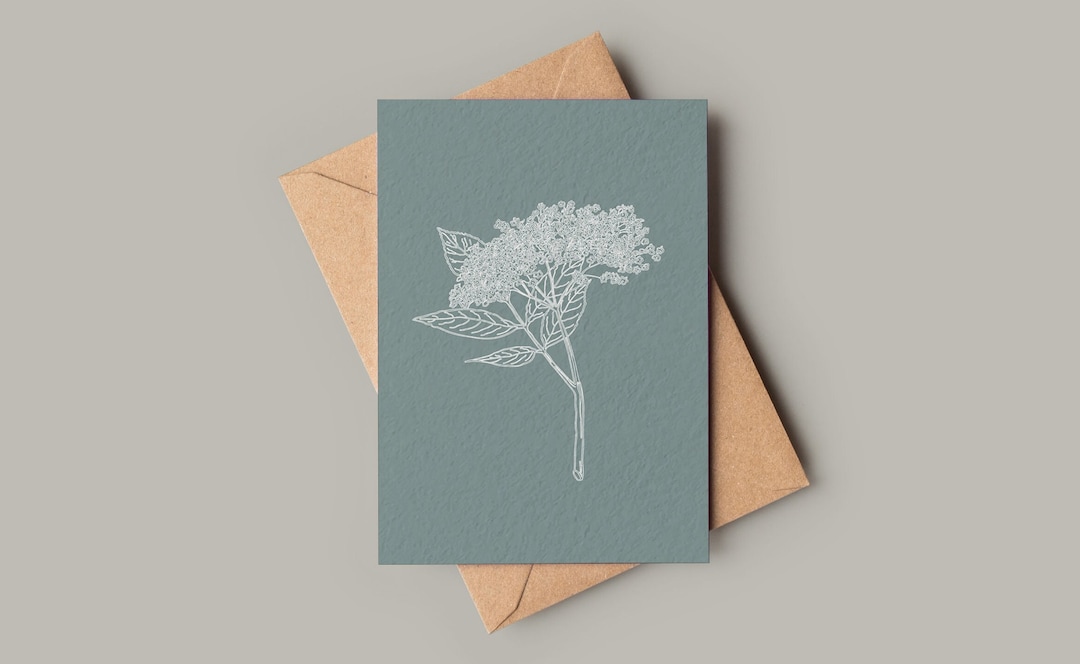 Elderflower Textured A6 Blank Greeting Card Foraging Forager Forests ...