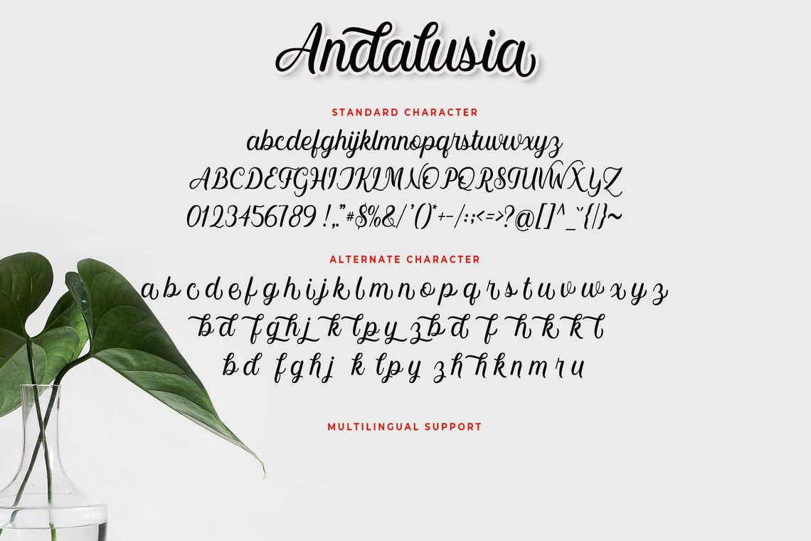 Andalusia Handwriting Font - Etsy