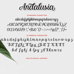 Andalusia Handwriting Font - Etsy