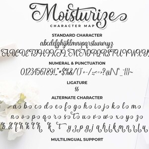 Moisturize Script Font With Alternative Characters and Swirls - Etsy