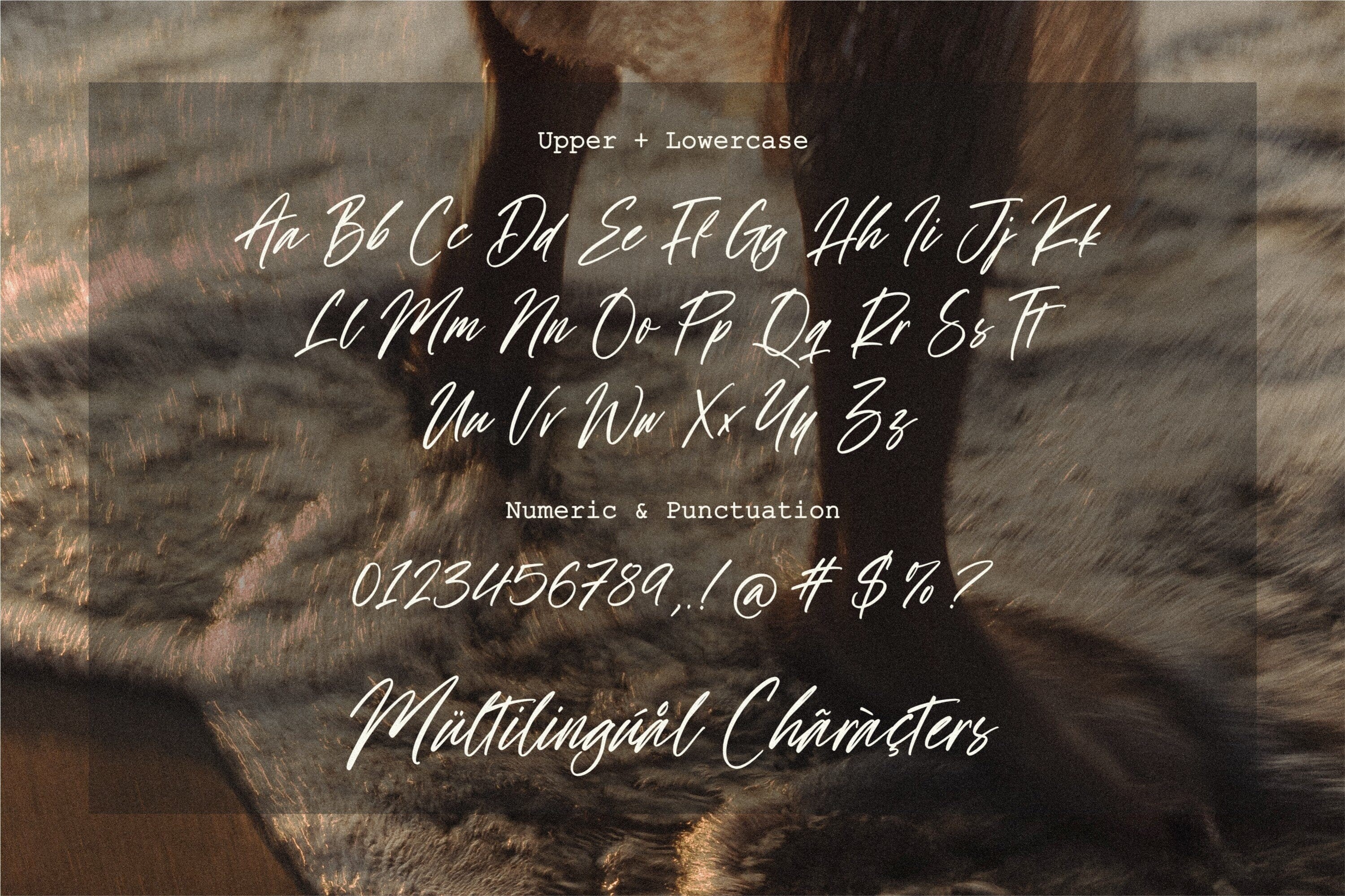 Orange Sunset Font Hand Brushed Script - Etsy