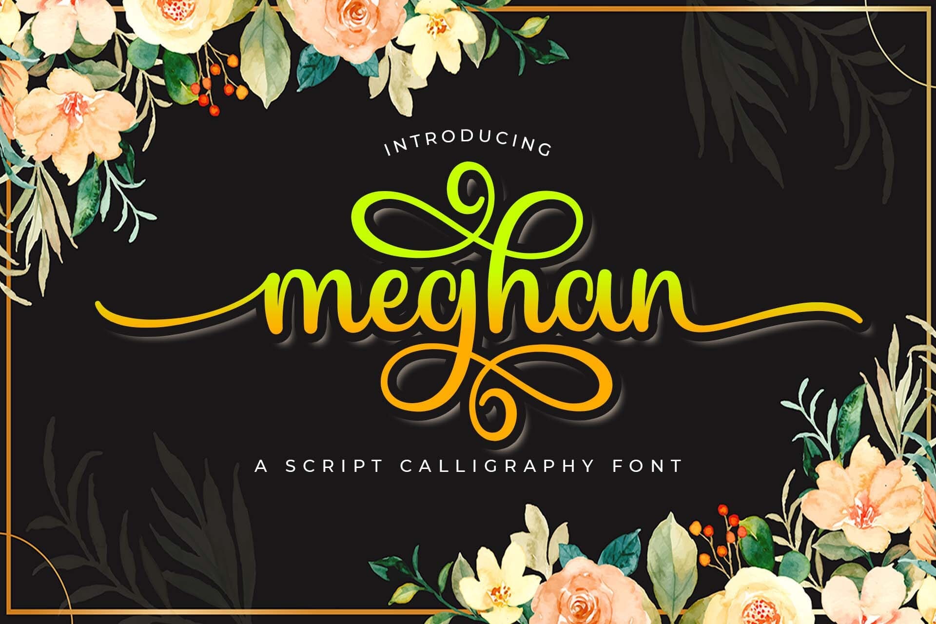 Meghan Script Calligraphy Font With Extra Swirl Characters letters With ...