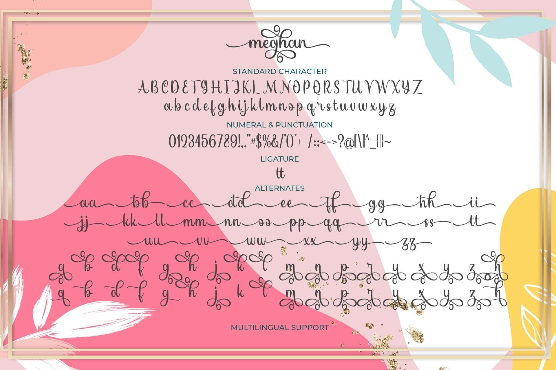 Meghan Script Calligraphy Font With Extra Swirl Characters letters With ...