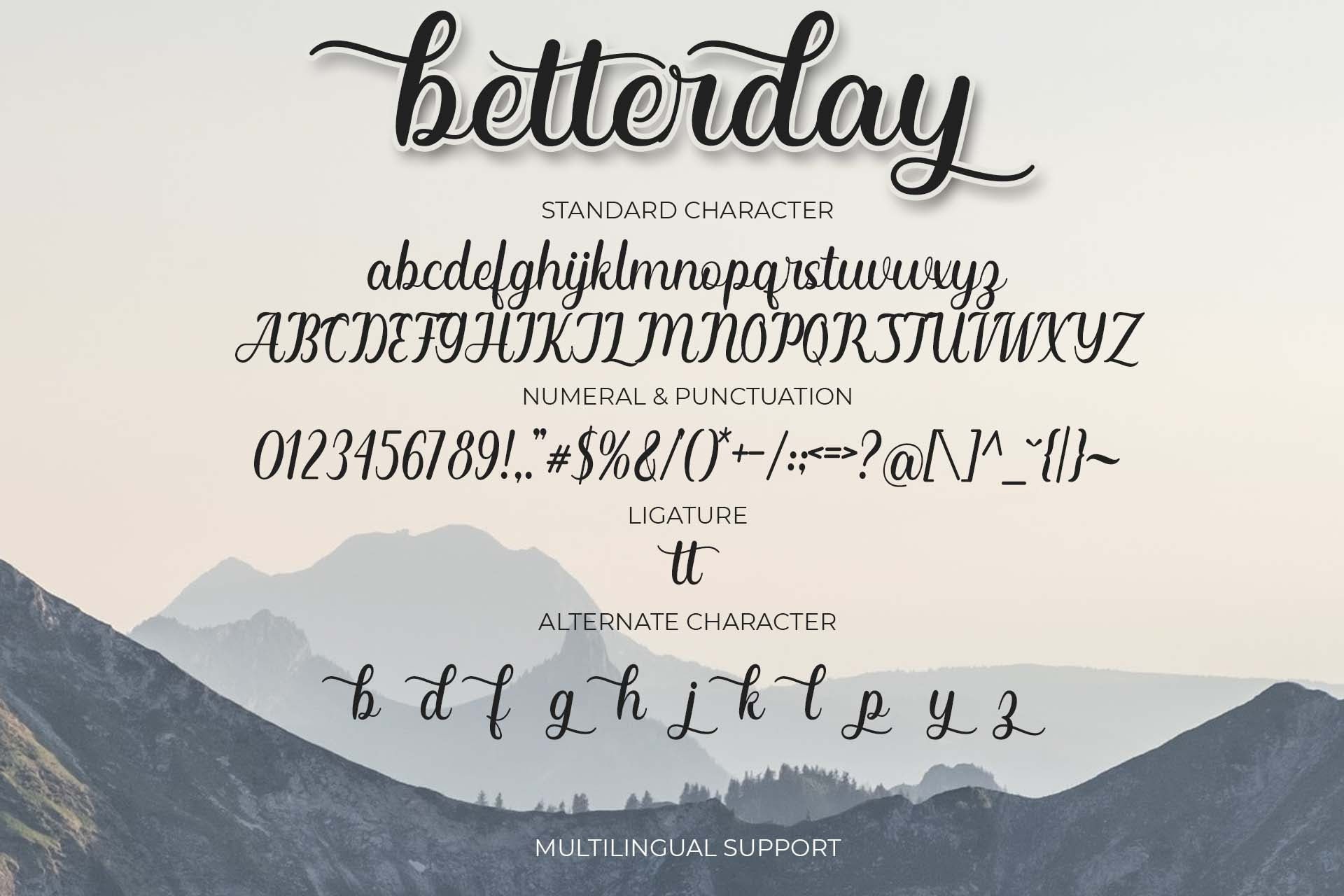 Betterday Calligraphy Font - Etsy