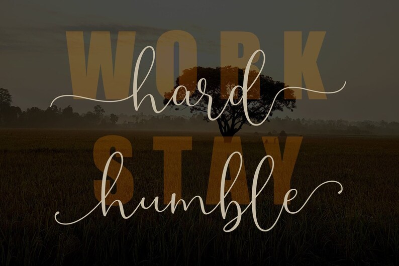 Absolute Script a Thin Handwritten Script Font - Etsy