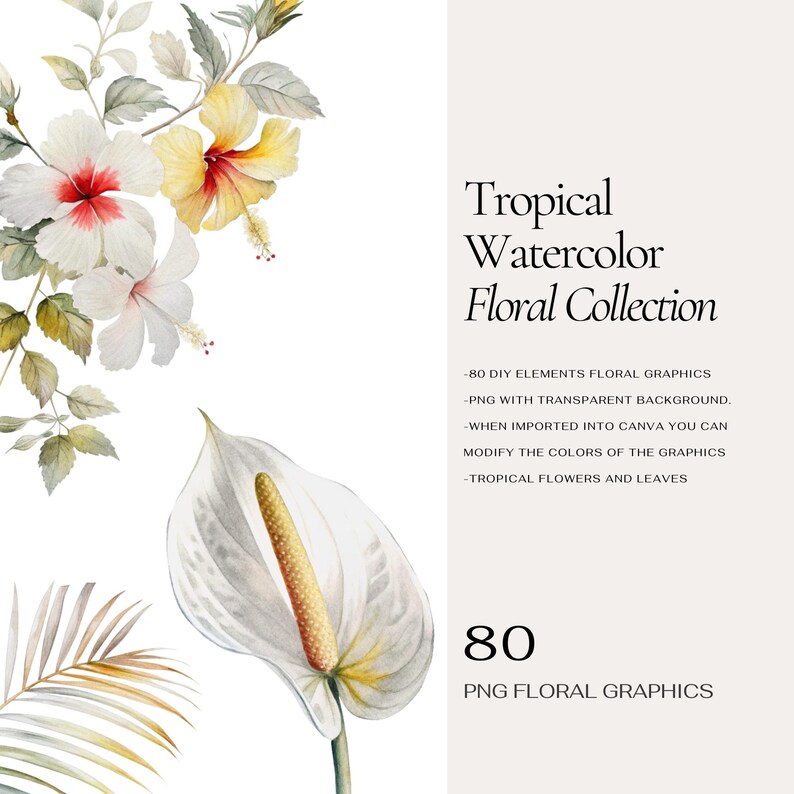 Flower Clipart Tropical Watercolor PNG – Hawaii Floral Illustrations ...