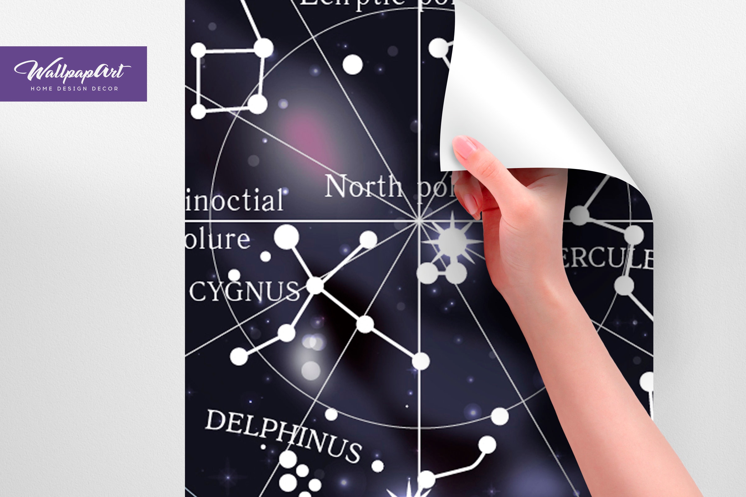 Removable Wall Mural Constellation Map Constellation Map Wall | Etsy