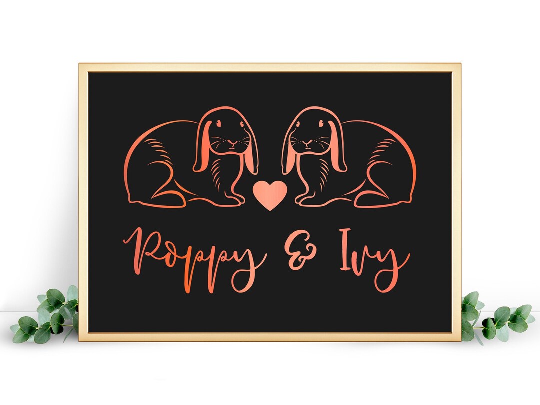 Personalised Lop Ear Bunny Rabbit Name Sign. Custom Holland Lop, Dutch ...