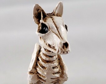 Skeleton Terrarium - Etsy