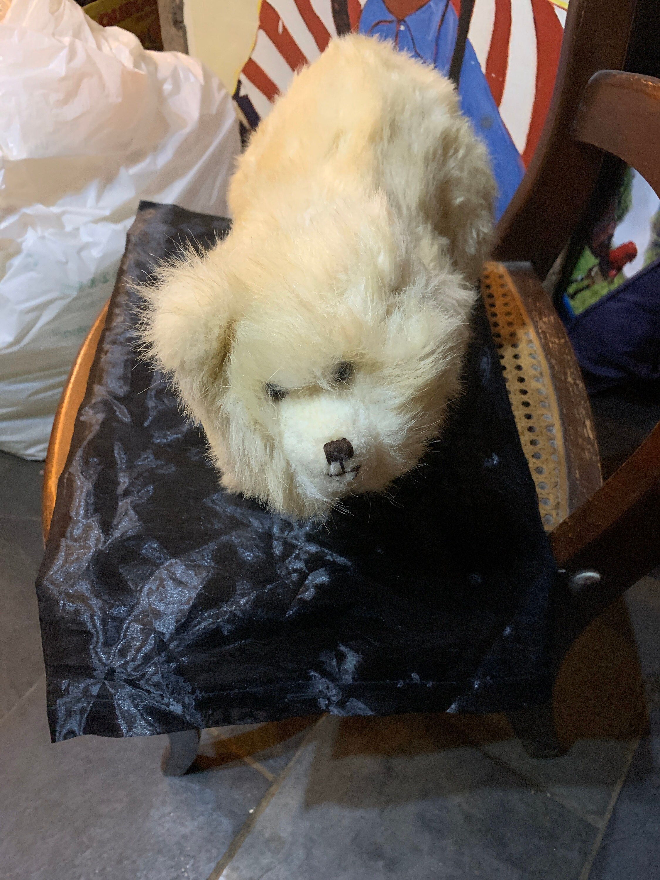 Bucks Bruins Leroy Mciver Teddy Bears - Etsy UK