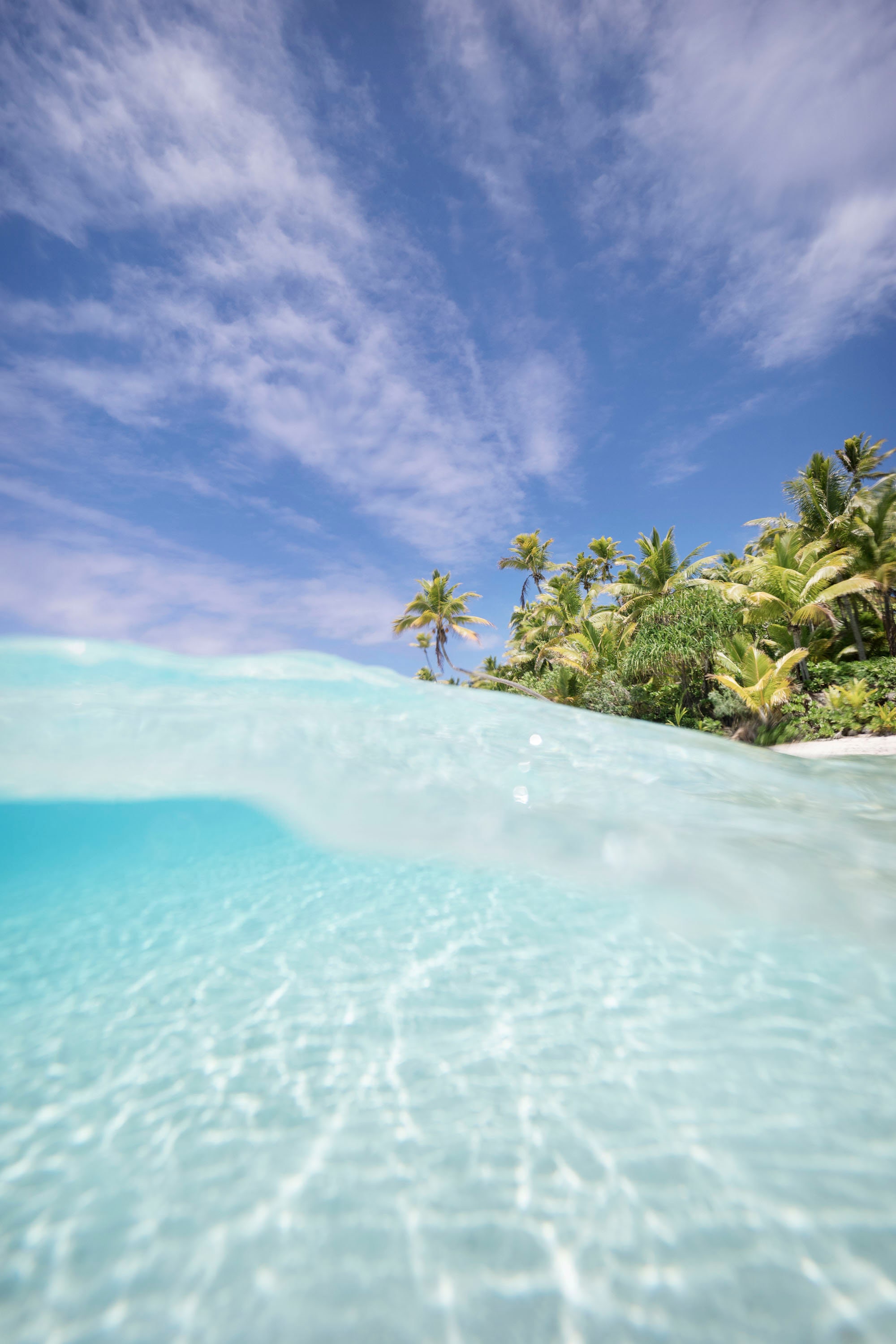 Tropical Island Print, Paradise Wall Art, Island Print, Palm Print ...