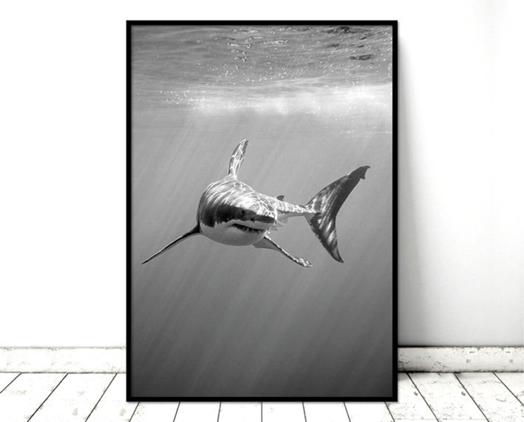 Printable Art Poster Great White Shark Monochrome Nature Wall Art ...