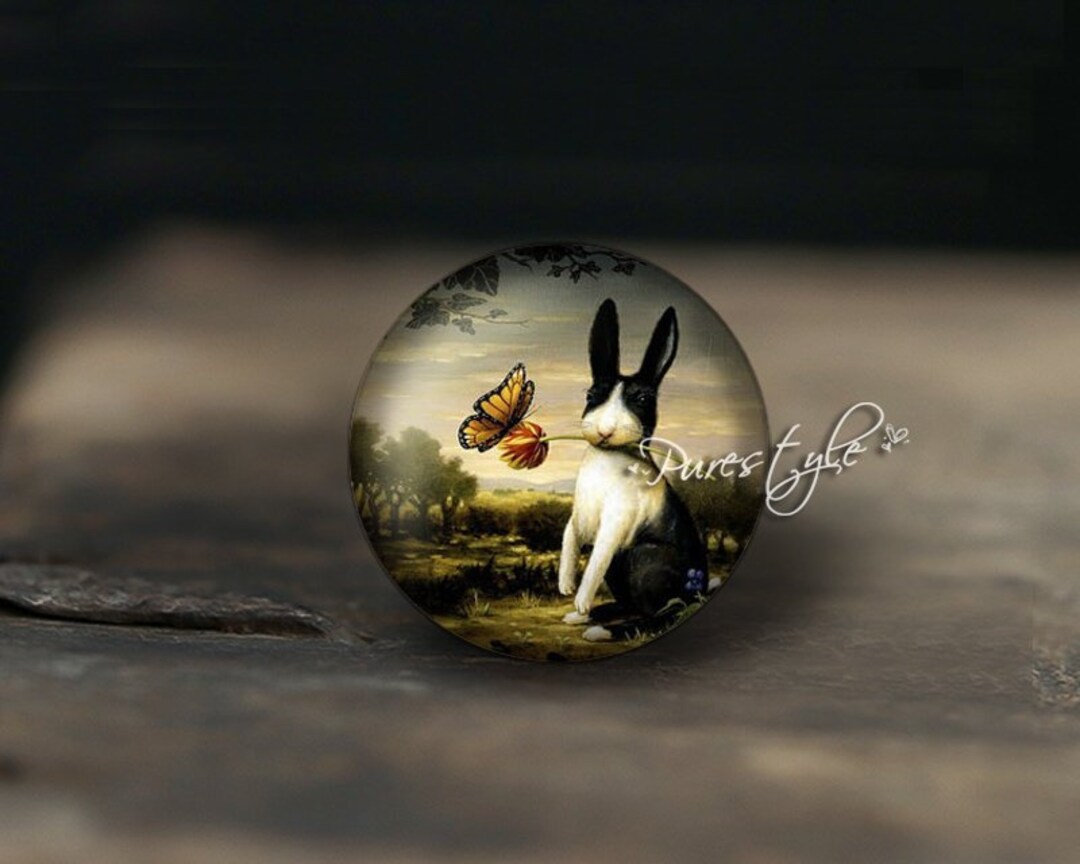 Rabbit Glass Cabochonandmade Photo Glass Cabochonround - Etsy