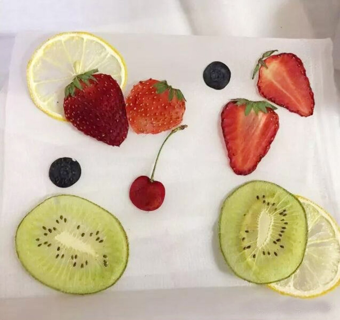 1 Sheet Mini Fruit Slice Small Natural Handmade Fruit Specimen | Etsy