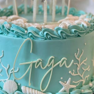 Acrylic Name Sign, Acrylic Cake Topper,cake Charm,cake Topper, Script ...