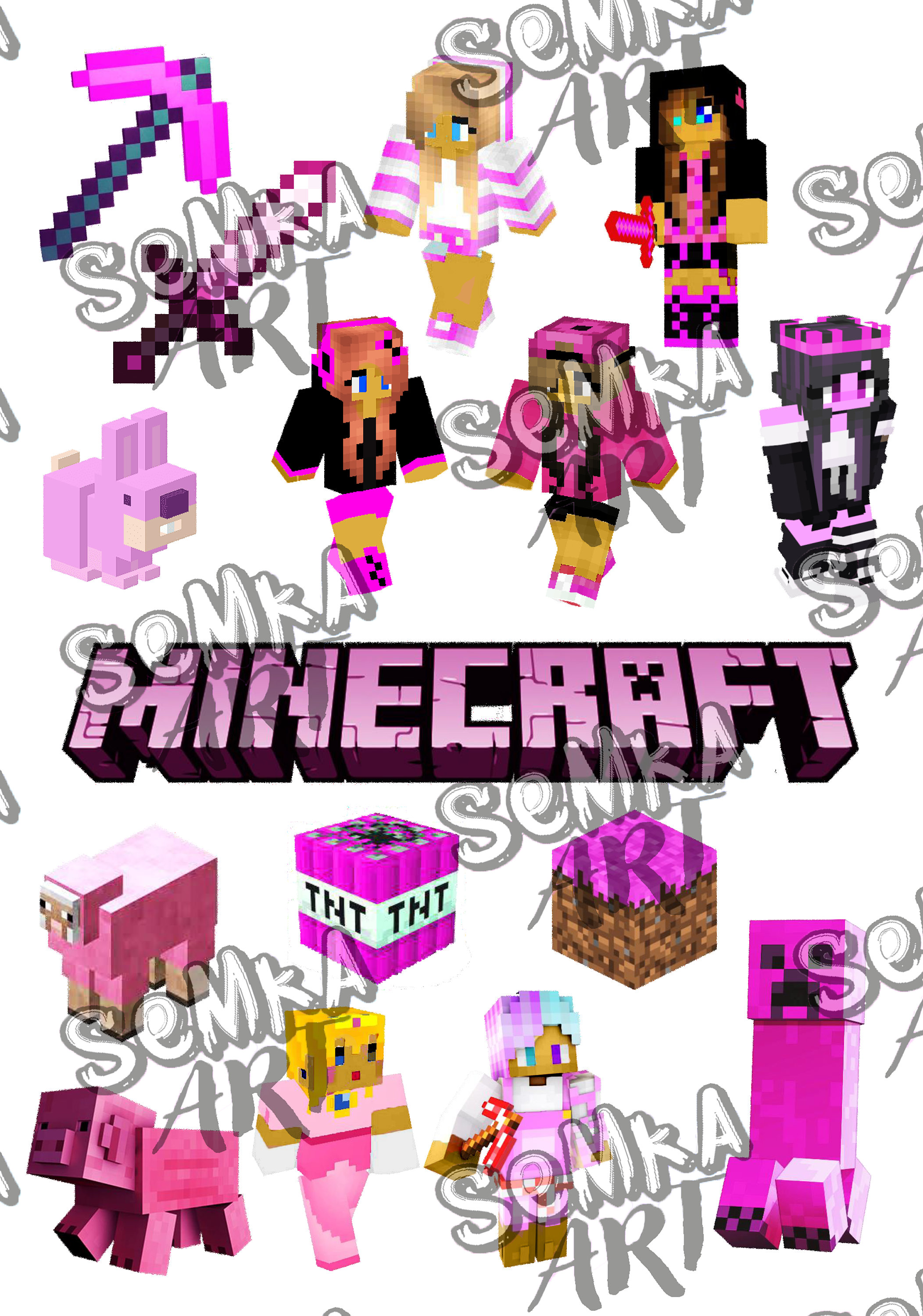 MINECRAFT - SET GIRL Second Option Skin Tone - Etsy