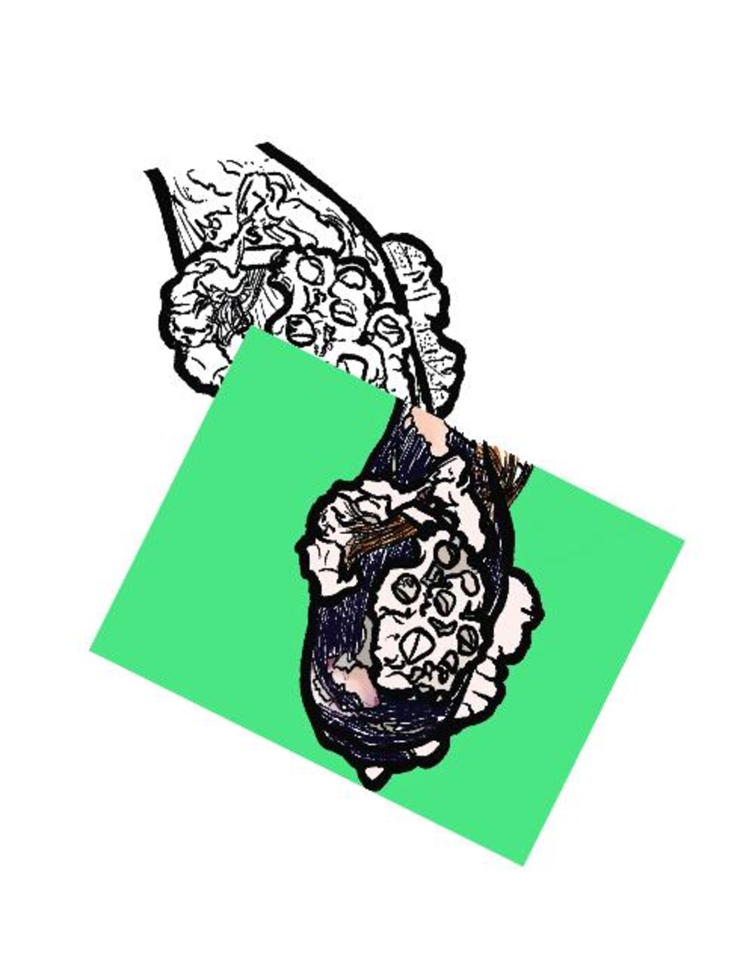 Barnacles on a Clam Shell Printable Coloring Page - Etsy