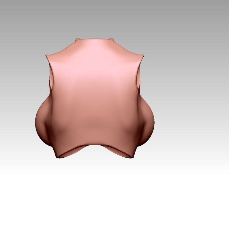 3d Model Breast Stl File Bjd Doll for 3d Printing - Etsy