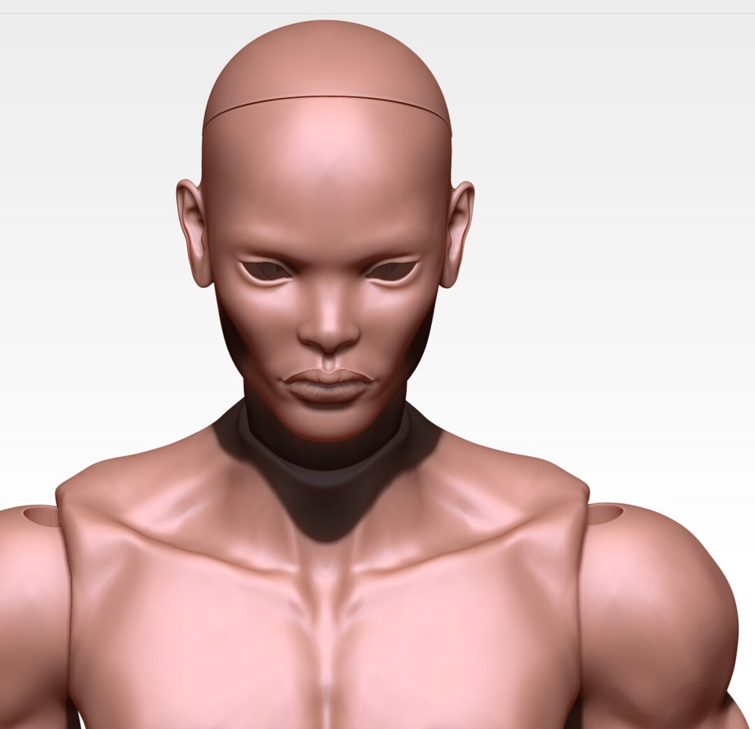 Realistic 3D Model STL File for Muscular Male BJD Doll | Customizable ...