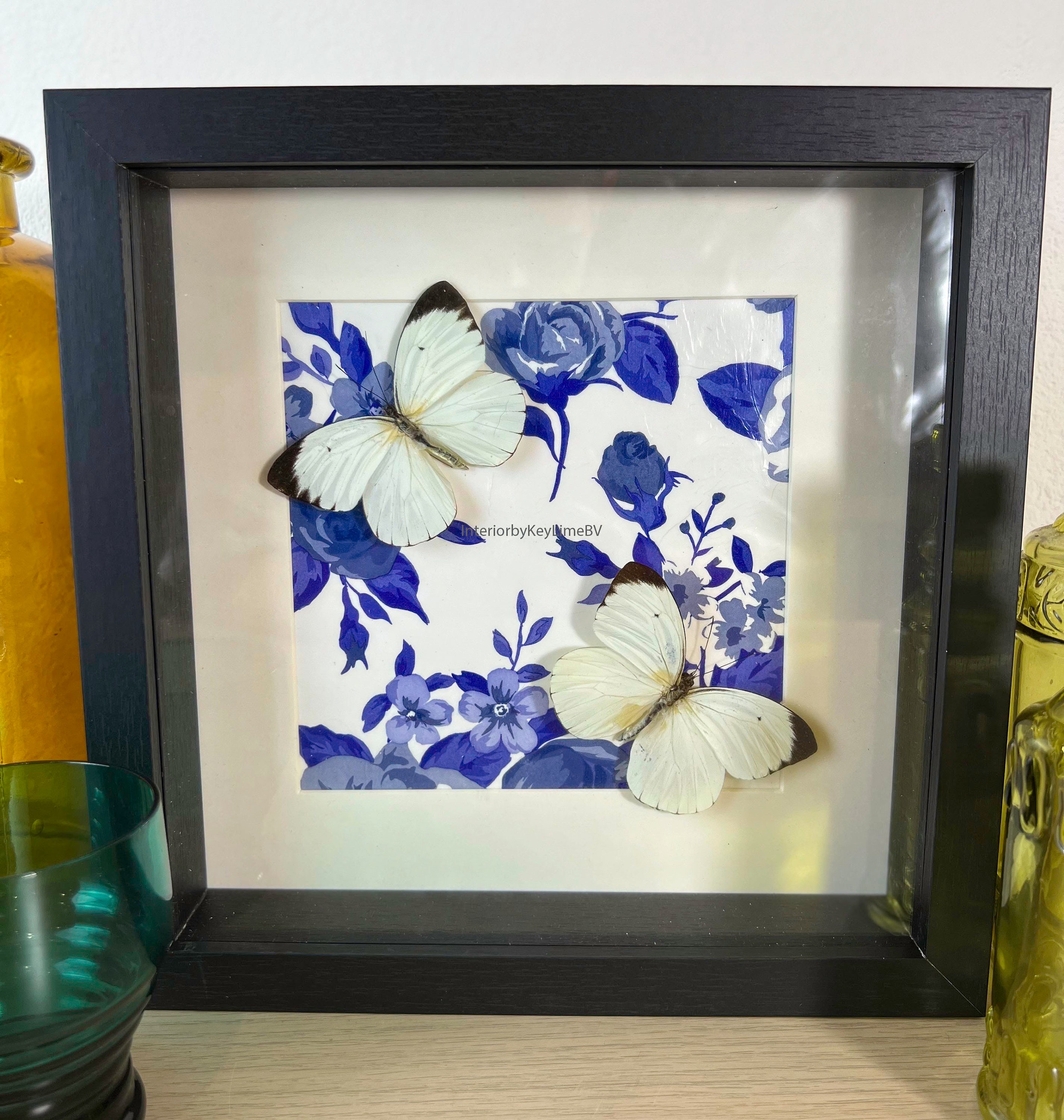 Real Butterfly Pictures To Print