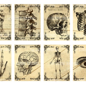 VAMPIRE'S DIARY DIN A4 Junk Journal Ephemera, Vampire's Diary, Vampire ...