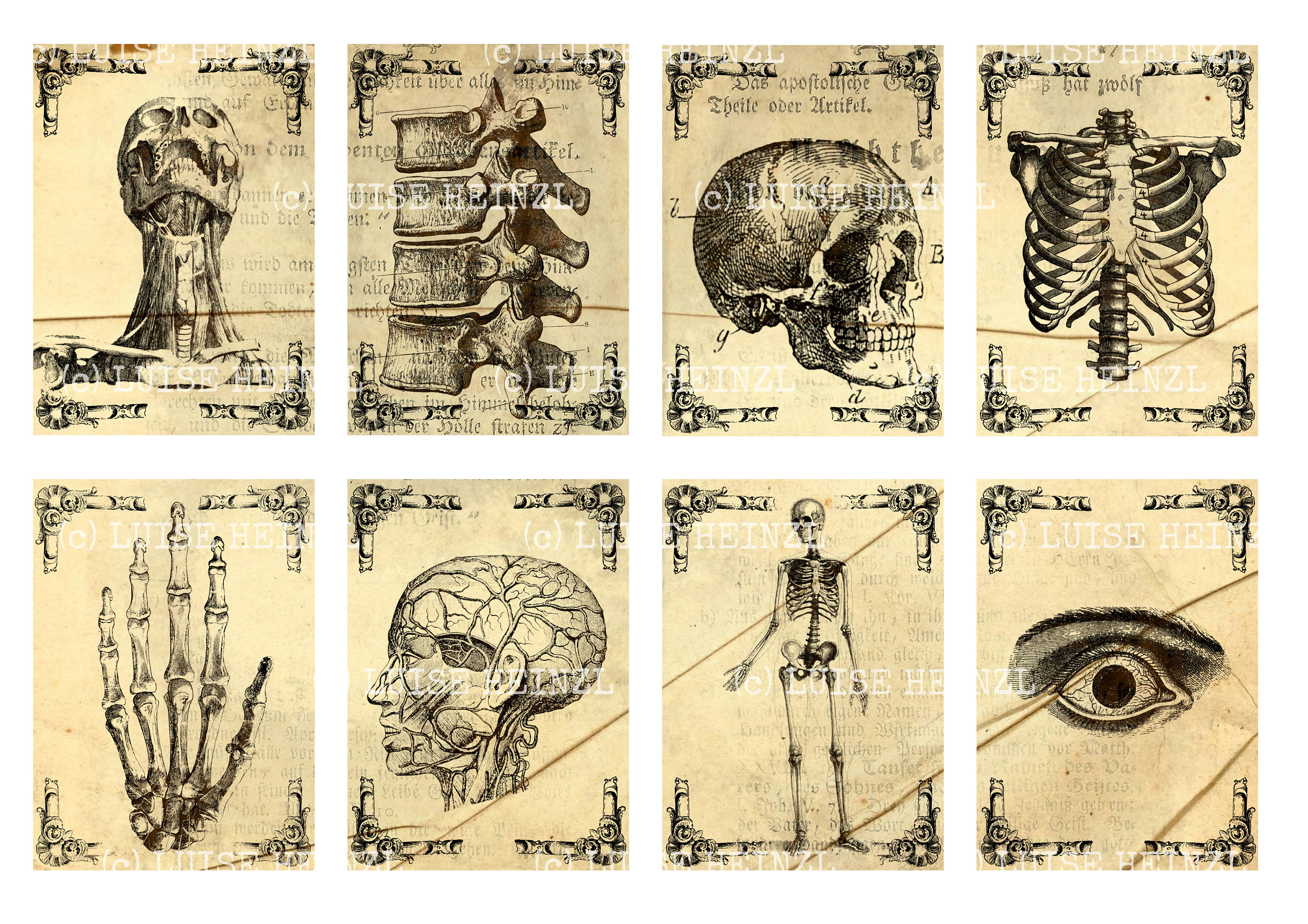 VAMPIRE'S DIARY DIN A4 Junk Journal Ephemera - Etsy